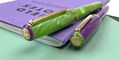 Esterbrook JR Pocket Paradise Fountain Pens