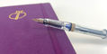 Lamy Gift Set - Ink & Safari Vista Fountain Pens