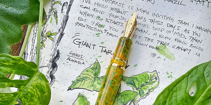 Esterbrook Limited Edition Rain Forest Estie Fountain Pens