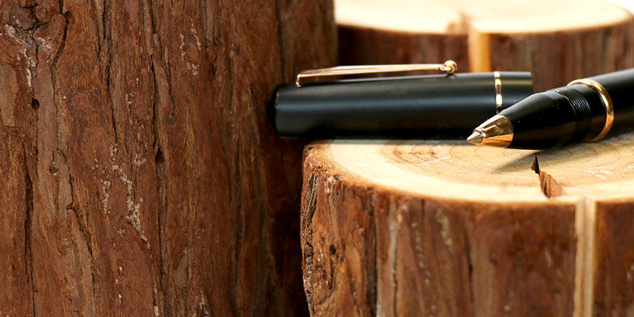 Delta Duna Matte Black Rollerball Pens