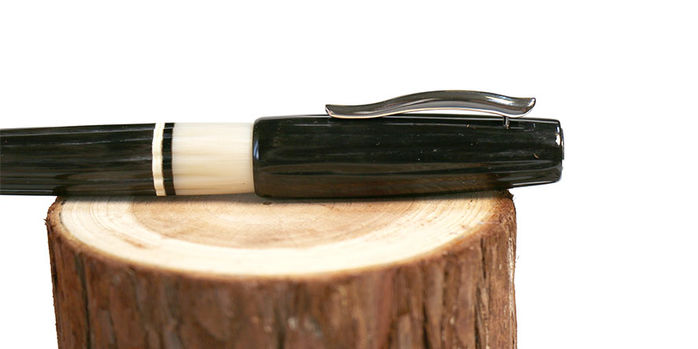 Opus 88 Buffalo Horn Fountain Pens