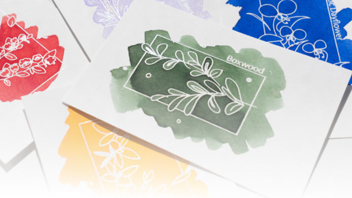 Colorverse Wildflower Edition Ink Art Cards Memo & Notebooks