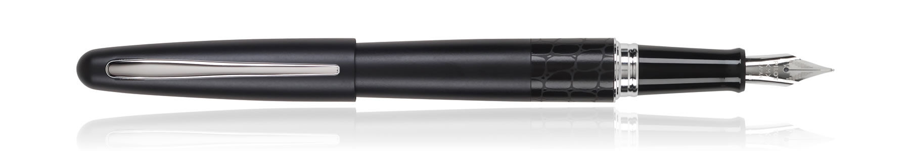 Pilot Starter Box Fountain Pens