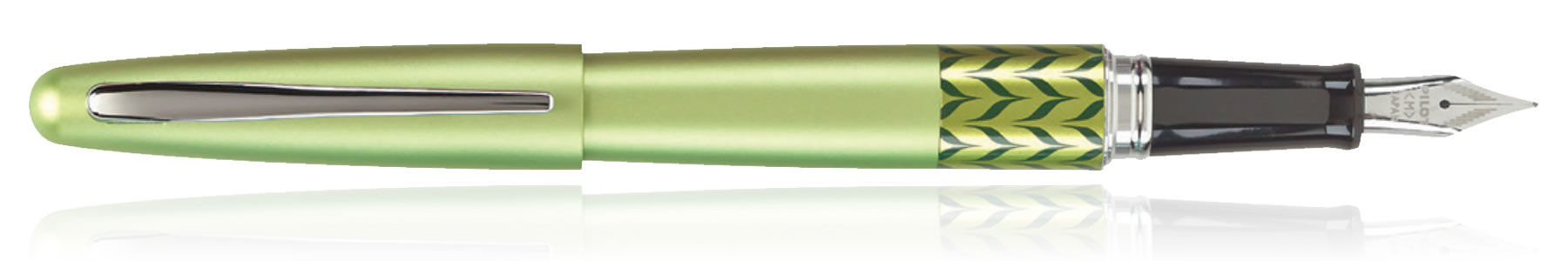 Pilot Starter Box Fountain Pens