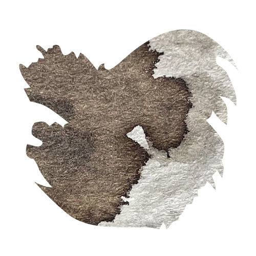 Ferris Wheel Press Print Shoppe Collection 38ml Fountain Pen Ink